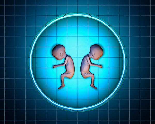 Clonaje - Escuelapedia - Recursos EducativosEscuelapedia – Recursos ...