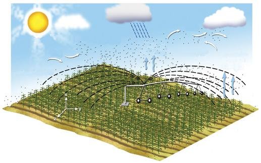 La transpiración - Escuelapedia - Recursos EducativosEscuelapedia ...