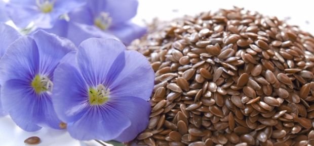 Linaza - Escuelapedia - Recursos EducativosEscuelapedia – Recursos ...