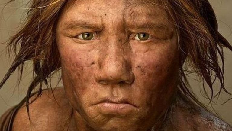 Origen del Ser Humano - Escuelapedia - Recursos Educativos