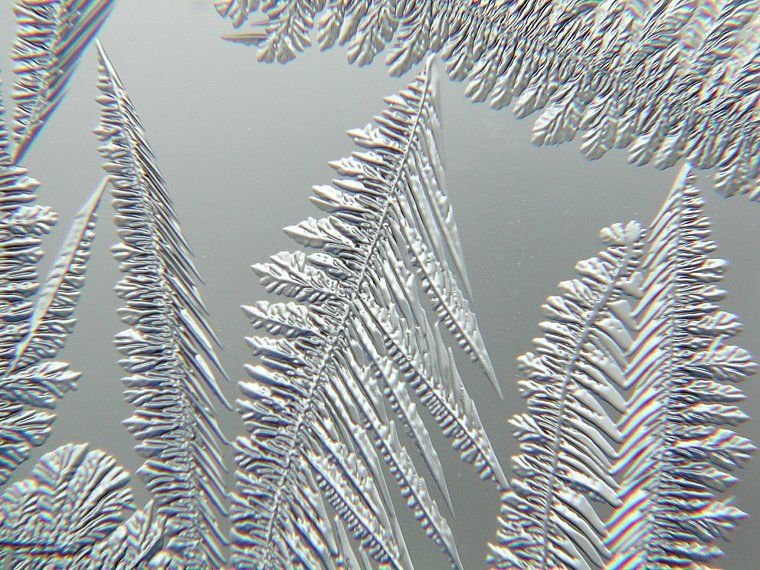 Definición de helada - Escuelapedia - Recursos Educativos