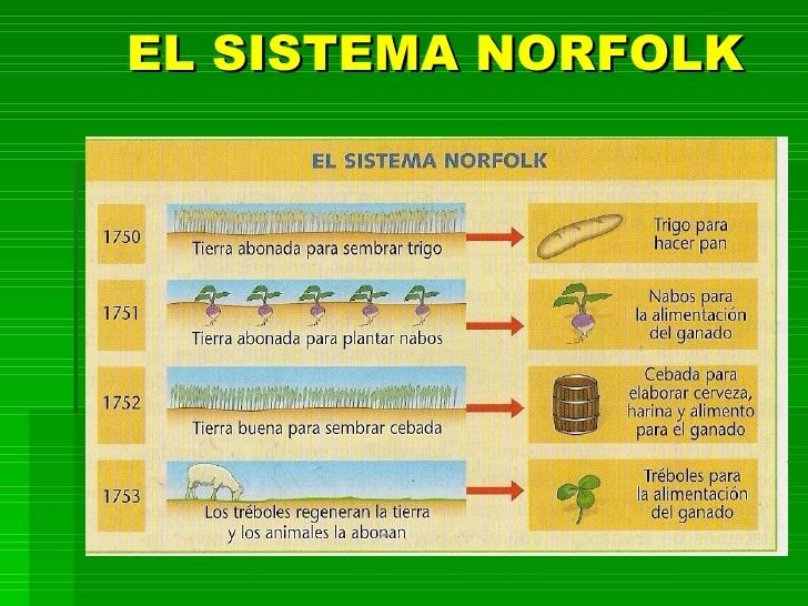 Sistema Norfolk - Escuelapedia - Recursos EducativosEscuelapedia ...