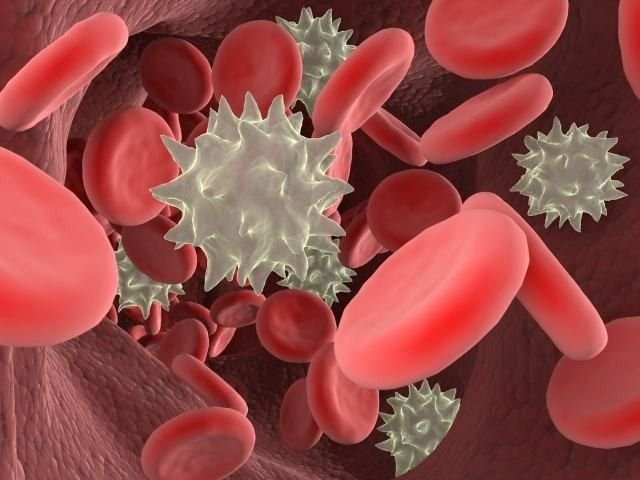 El sistema inmunológico - Escuelapedia - Recursos ...